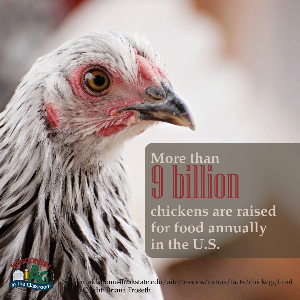 Poultry Facts5 - Wisconsin Farm Bureau Federation
