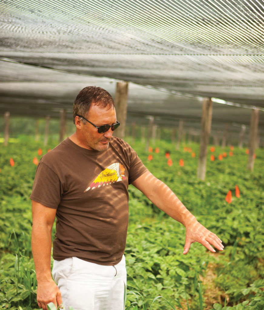 Meet: Joe Heil - Wisconsin Farm Bureau Federation